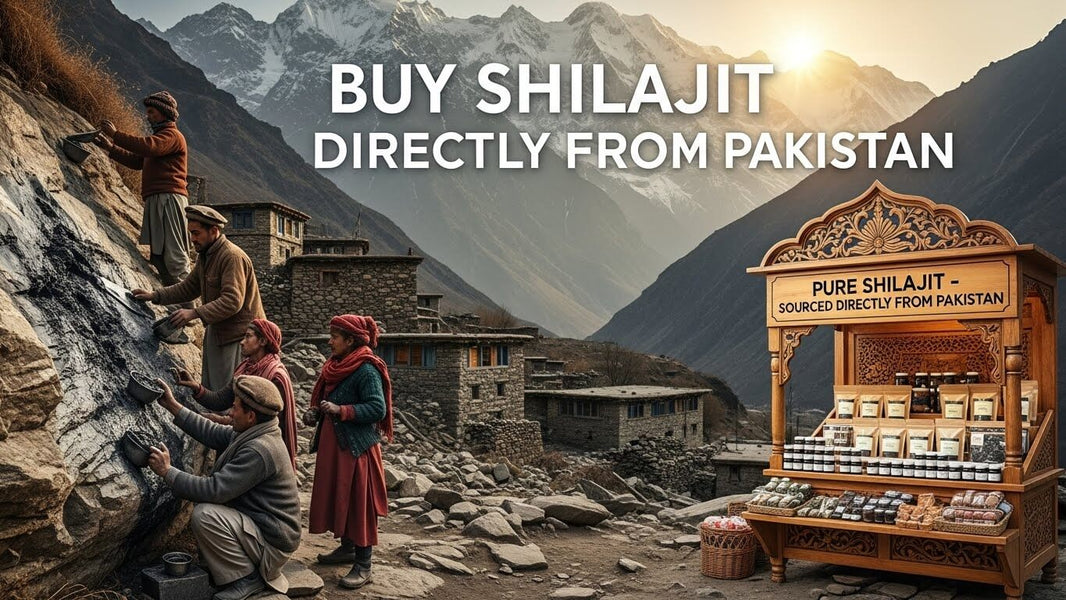 Where to Buy Shilajit Directly from Pakistan