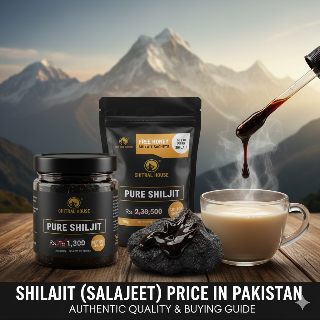 Shilajit (Salajeet) Price in Pakistan: Authentic Quality & Buying Guid