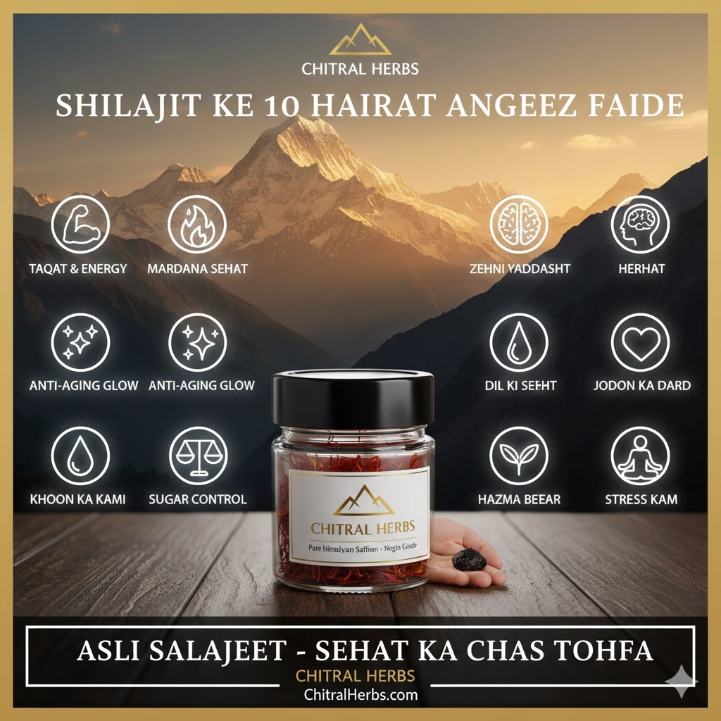 Shilajit Benefits In Urdu - Asli Salajeet Ky Fayde
