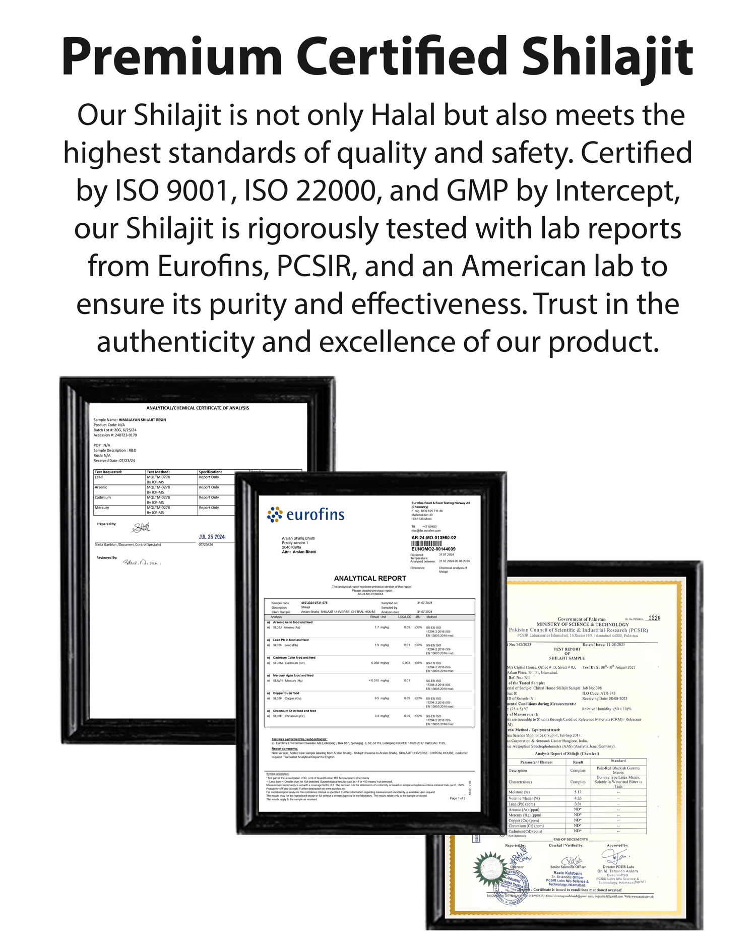 Buy Pure Shilajit Resin – Original Chitrali Shilajit